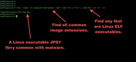 Using Linux Find Command To Locate Malicious And Masquerading Binaries