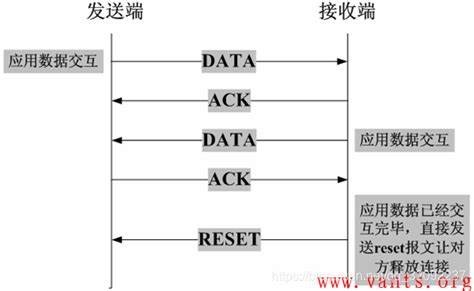 Tcp三异常报文分析tcp Previous Segment Not Captured Csdn博客