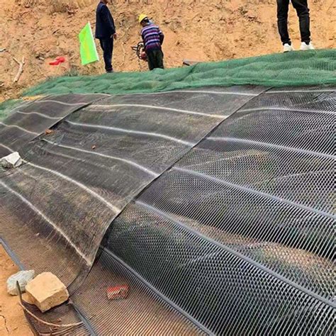 Hdpe Uniaxial Plastic Geogrid Pp Biaxial Geogridtwo Way Plastic