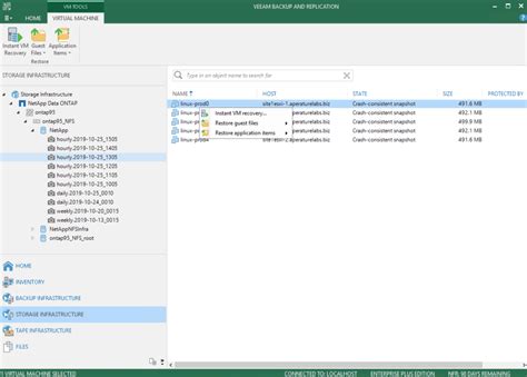 How To Use Veeam Backup From Storage Snapshots VMiss Net
