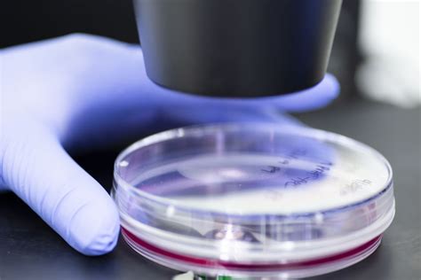 Agilent 2100 Bioanalyzer User Protocols And Technical Guides Mhir