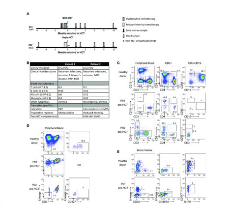 Deficiency Of T B Nk Cell And Ilc In Gata2 Haploinsufficiency A Download Scientific