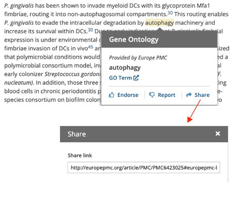 Europe Pmc Text Annotator Is Now Open Source Europe Pmc Tech Blog