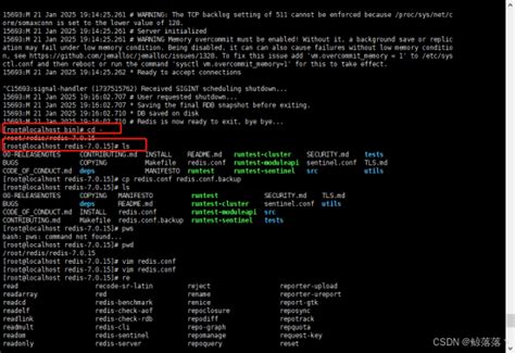 Linux安装redis，并配置redis开机自启（图文版），超详细！！！linux启动redis Csdn博客
