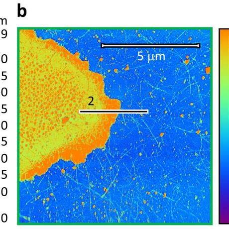 The Exploring Of Sensor Structures Under Study With Atomic Force Download Scientific Diagram