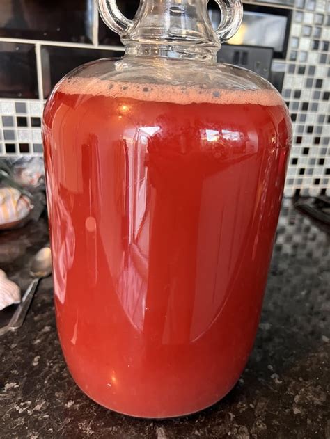 Apple And Raspberry Cider Incoming 🚀 Rcider