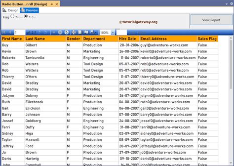 Radio Buttons As Ssrs Report Parameters