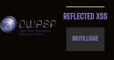 Reflected And Stores Xss Owasp Mutillidae