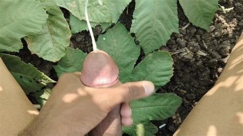 Village Boy 19 Years Old Gay Public Young Porn Feat Mer Mahipat M