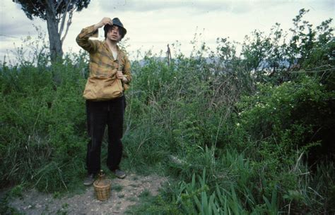 Le Vent Dans Les Cyprès Michel Teston 13