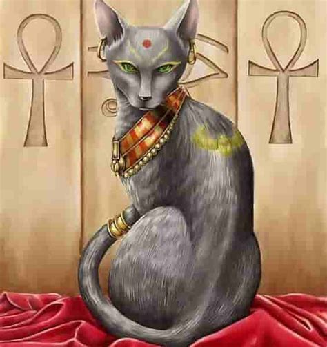 Real Ancient Egyptian Cats The Divine Felines Of Ancient Egypt Atlas