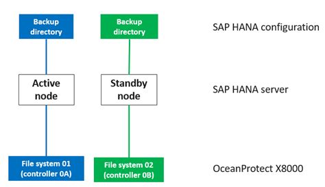 Oceanprotect 1 3 0 Backup Storage Solution Best Practice Integration With Sap Hana