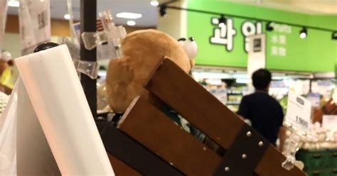 사용량 줄어든 일회용 비닐봉지