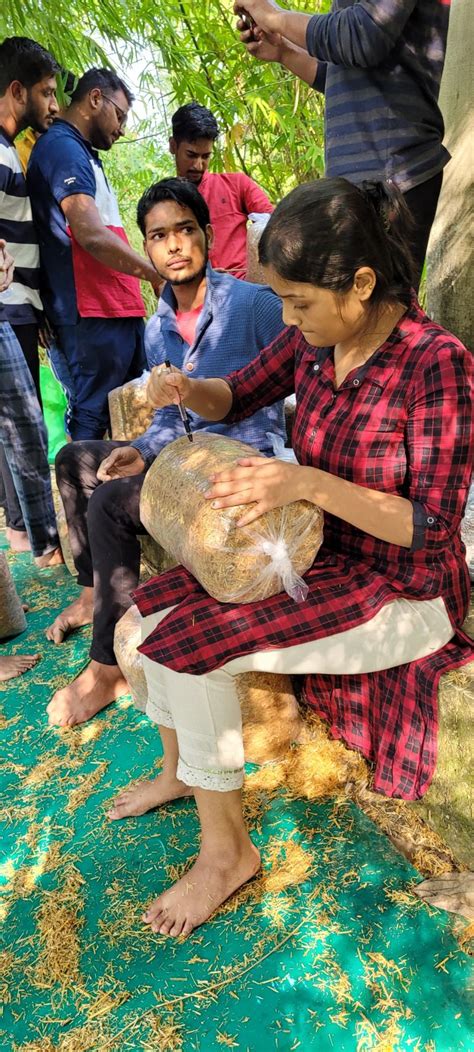 Prapti Pattanayak On Linkedin Packaging Mushroomcultivation