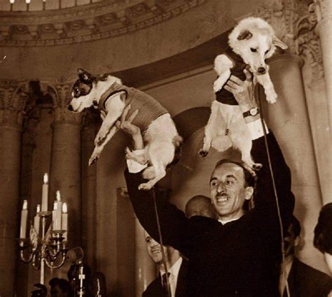 ლეგენდარული კოსმონავტები ბელკა და დედამიწის გარშემო