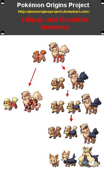 Lillipup Evolution Chart Pokemon Unites Lillipup Evolves If You Leave
