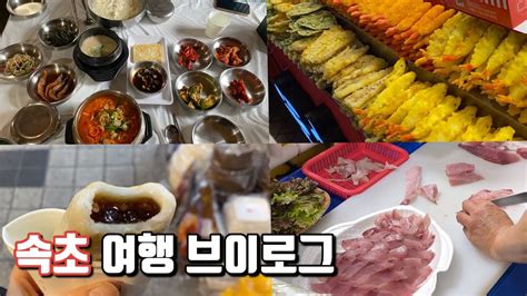 속초 여행 브이로그 대방어 새우튀김 먹방여행 속초바다 초당 순두부 속초중앙시장 Youtube