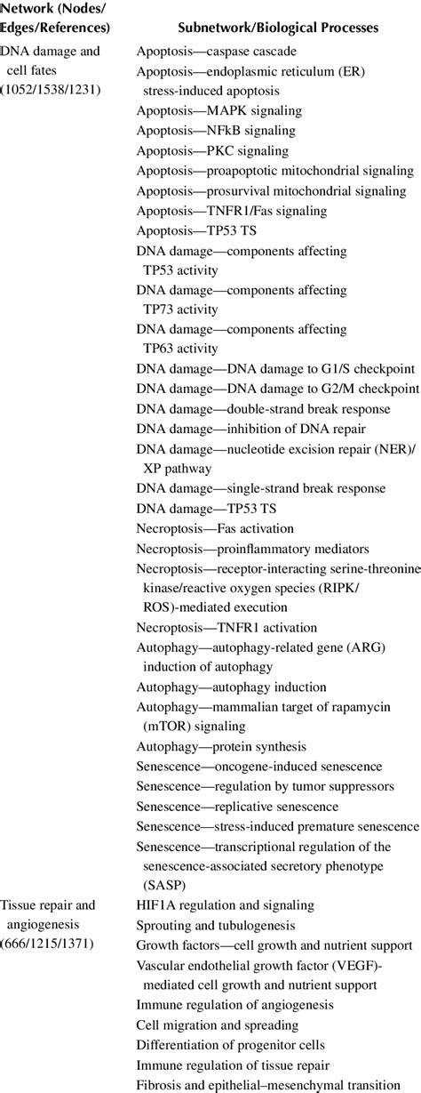 4 Continued Biological Network Models And Biological Processes