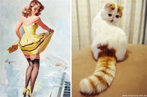 Foto Kucing Berpose Ala Pinup Girl Mirip Nggak Guys TribunStyle Com