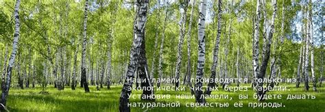Ламели для кровати и дивана, латодержатели всех видов и размеров купить ...