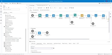 SAS For Data Preparation Data Quality SAS