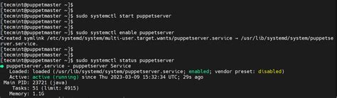How To Install Puppet Master And Slave In RHEL Based Systems