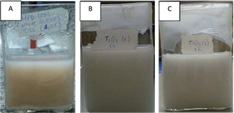 Digital Photographs Of The Dispersion Of TiO Nanostructures In An Download Scientific Diagram