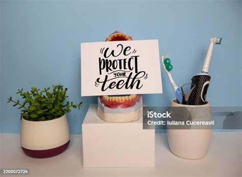 인사말 카드가있는 인간의 치아와 잇몸의 해부학 적 모델 우리는 당신의 치아를 보호합니다 치과 의사 배경 0명에 대한 스톡 사진 및 기타 이미지 Istock