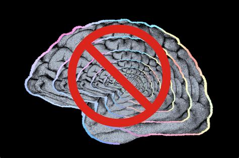 Neuralink La Puce Cérébrale Delon Musk Privée Dessai Clinique