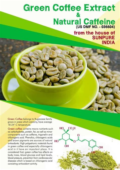 Green Coffee Extract And Natural Caffeine Extract At Best Price In