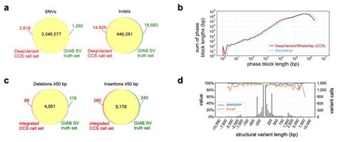 Highly Accurate Long Read Sequencing Improves Variant Detection And