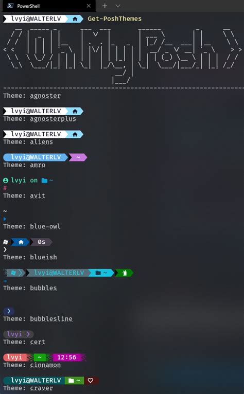 将美化进行到底，使用 Oh My Posh 把 Powershell 做成 Oh My Zsh 的样子 Walterlv