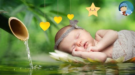 자장가연속듣기 어린이집 자장가 ♫♫ 자장가 브람스 아기수면음악 ♫ 아기자장가노래 ♫ 유아자장가 수면유도음악 ♫ 자장가 오르골 어린이 ♫ 아기수면음악 달래는물소리와 함께