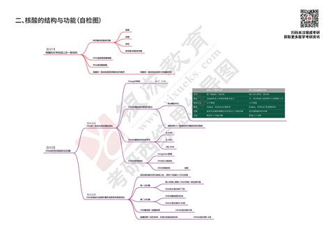 西综思维导图 核酸的结构与功能 哔哩哔哩