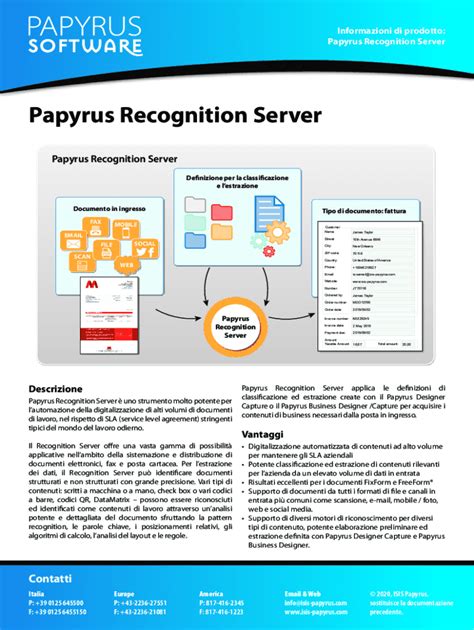 Fillable Online Papyrus Recognition Server Fax Email Print PdfFiller