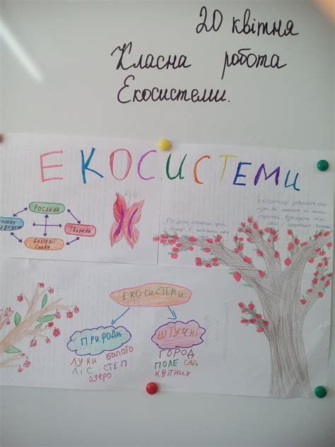 Блог учителя біології Яковенко Н А Творча діяльність учнів