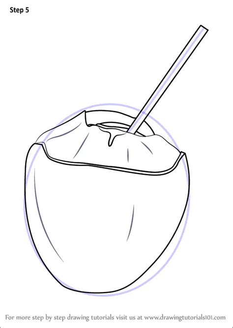 How To Draw A Coconut With Straw Fruits Step By Step DrawingTutorials Com