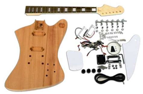 Firebird Guitar Rock N Roll Icon