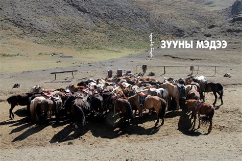 Фото Үзэсгэлэнт Ёлын ам