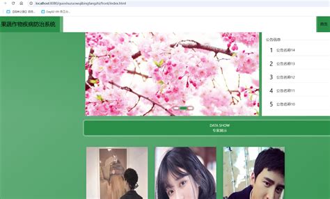 基于javaspringboot的果蔬作物疾病防治系统 Csdn博客