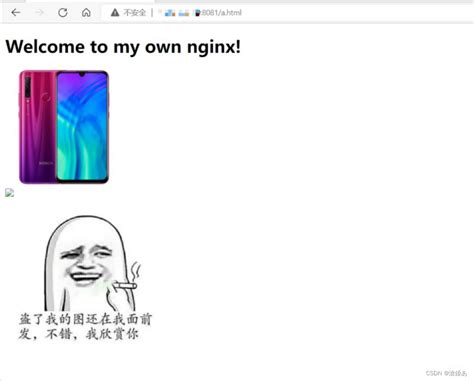 Nginx中的防盗链原理nginx防盗链原理 Csdn博客 Nginx中的防盗链原理nginx防盗链原理 Csdn博客