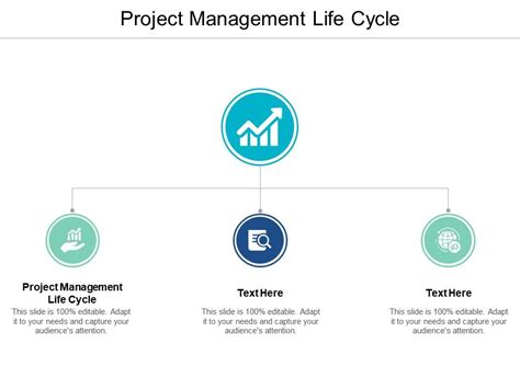 Project Management Life Cycle Ppt Powerpoint Presentation Infographic Template Clipart Images