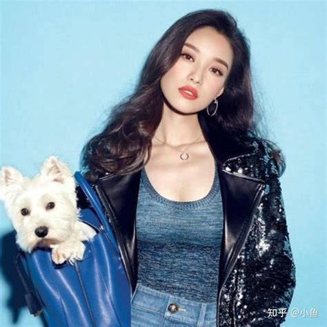 生肖属龙，属龙人性格，事业，财运分析！