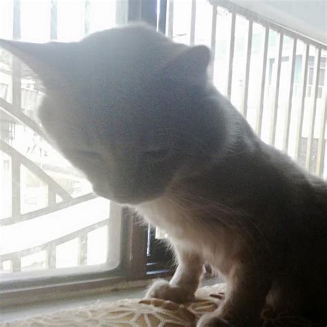 Amlnzu S8jce8oocwobmxl6tbccjqahded65usngmnsjiws900 C K C0x00ffffff No Rj