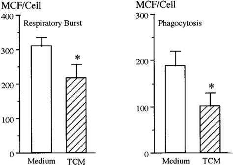 Inhibition Of Pmn Respiratory Burst And Phagocytosis By Tcm Normal