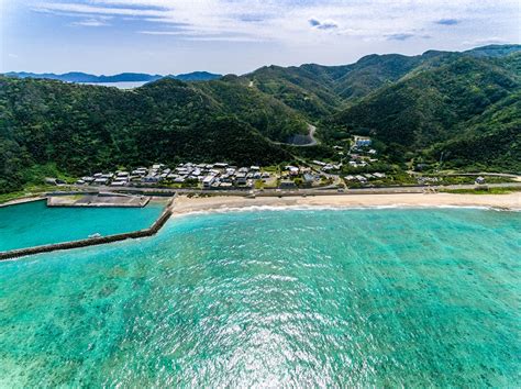 安木屋場のソテツバショウ群生地 全国観光資源台帳 公財 日本交通公社