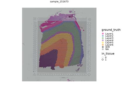 3 The Stexampledata Package • Spatialexperimentbioc2021