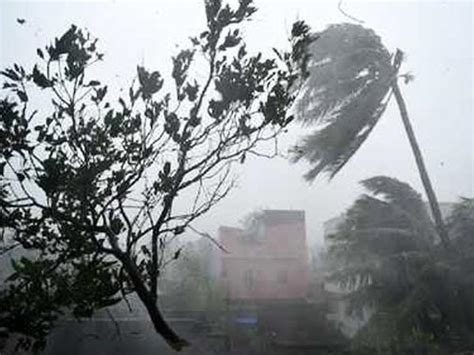 Cyclone Titli Claims Eight Lives In Andhra The English Post