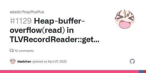 Heap Buffer Overflowread In Tlvrecordreadergetnexttlvrecord With Two Positions · Issue