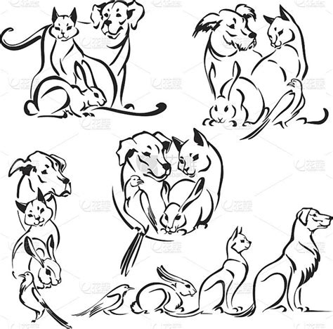 狗，猫，兔子和鸟素材 花瓣网
